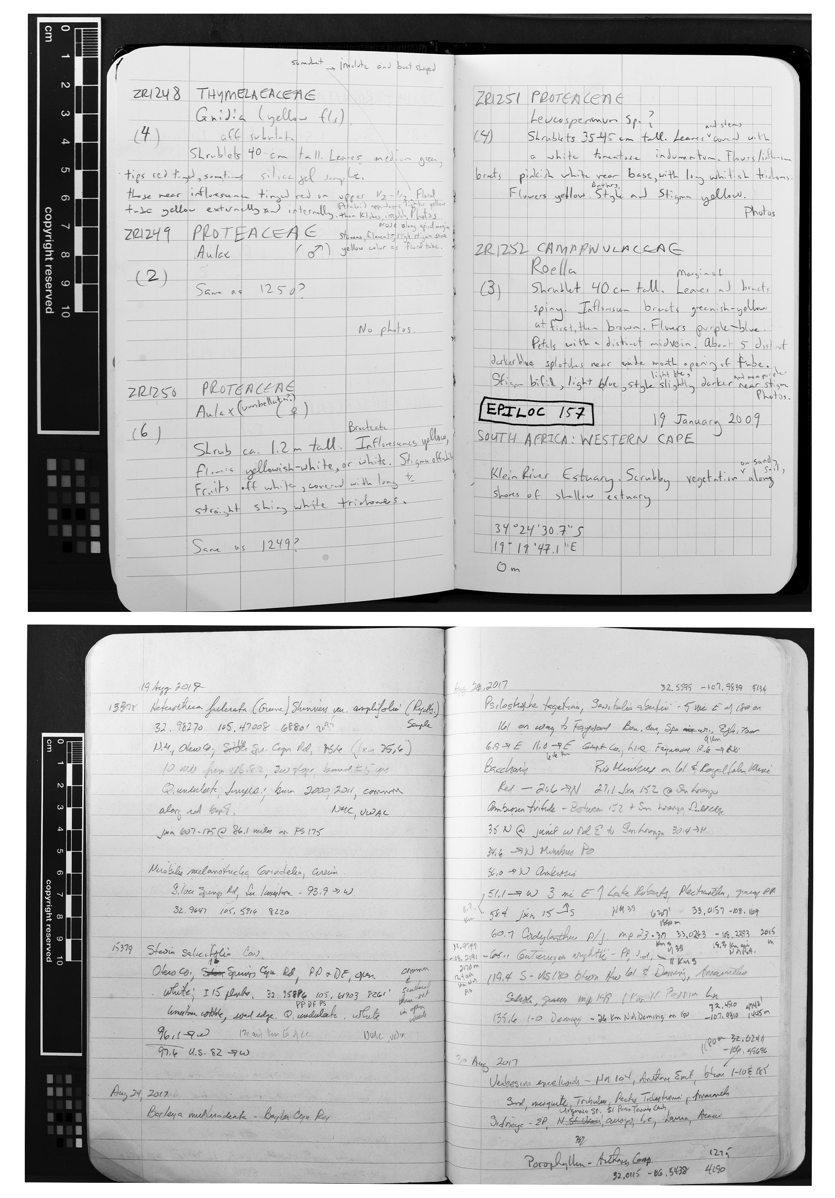 How to Collect and Preserve Rangeland Plants | New Mexico State ...