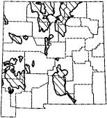 New Mexico Range Plants | New Mexico State University - BE BOLD. Shape ...