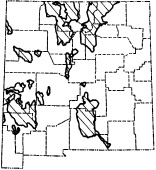 New Mexico Range Plants | New Mexico State University - BE BOLD. Shape ...